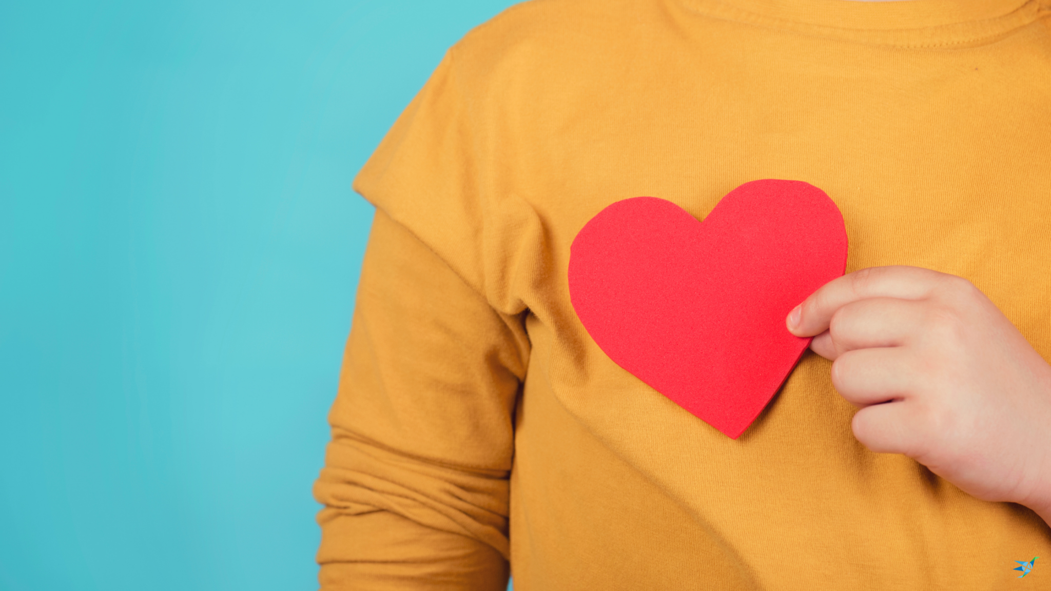 Cx Strategy 101 Experience Investigators