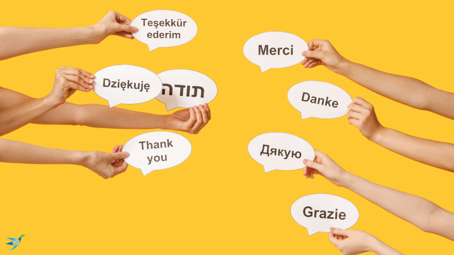 Create Your CX Charter with These 6 Questions - Experience Investigators